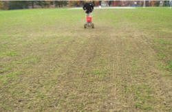 Winter Turf Blankets & Grass Growth Covers | CoverSports